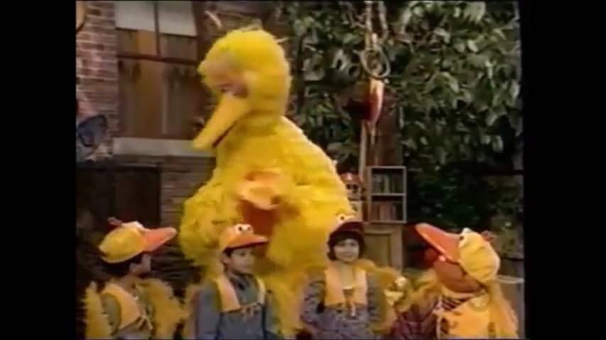 Sesame Street #3873 Ernie and Rubber Duckie Join the Birdketeers on Vimeo