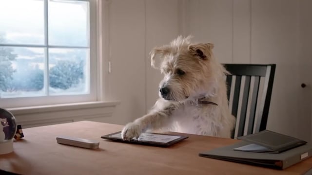 Commercials – Tim Suhrstedt