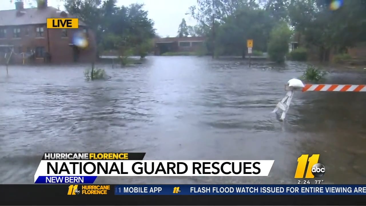 Elaina Athans - Elaina Athans "Hurricaine Florence Coverage Excerpts ...