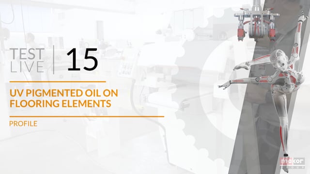 Makor | Finishing specialist | Wood finishing machines | Machine ...