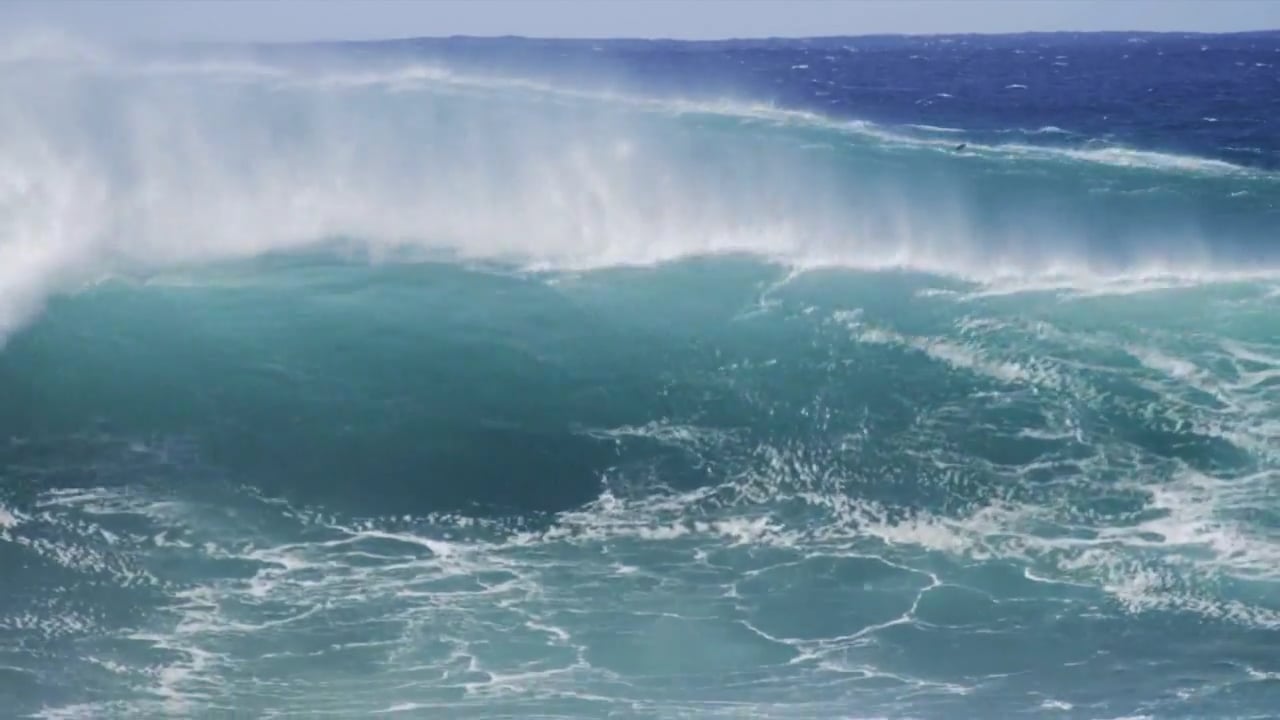 Watch The World of Waves Online | Vimeo On Demand on Vimeo