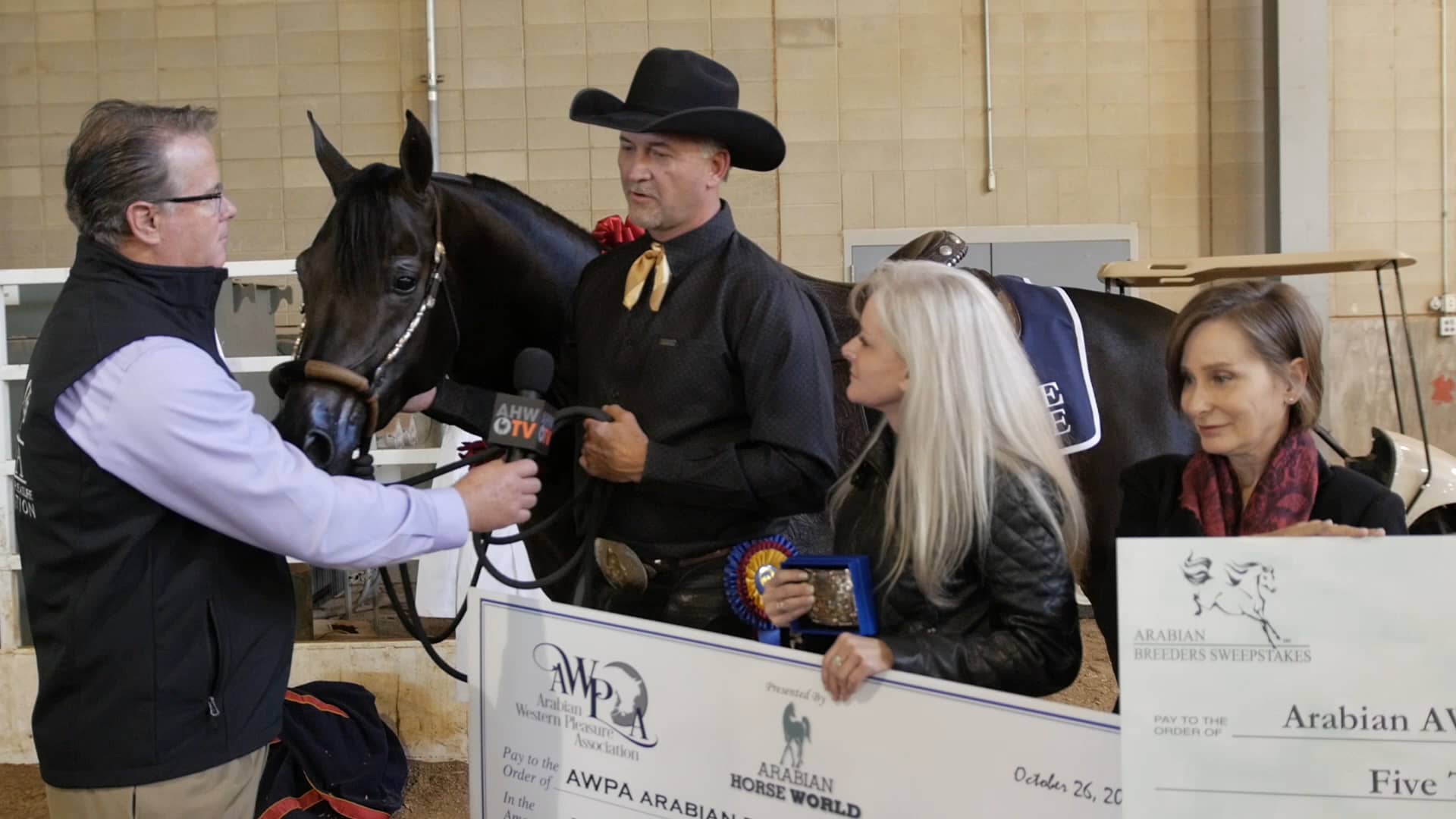 2018 U.S. Champion AWPA AHW $100,000 Western Pleasure Futurity WGA ...