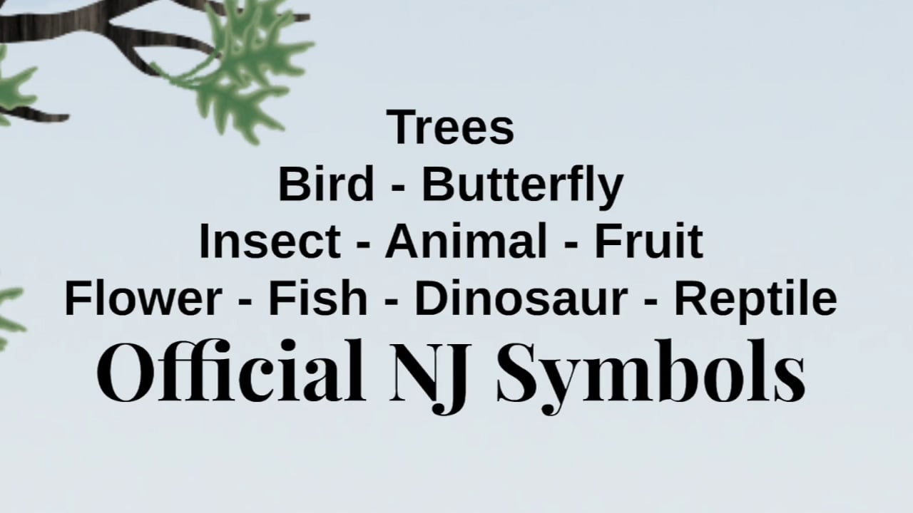 Official NJ Symbols