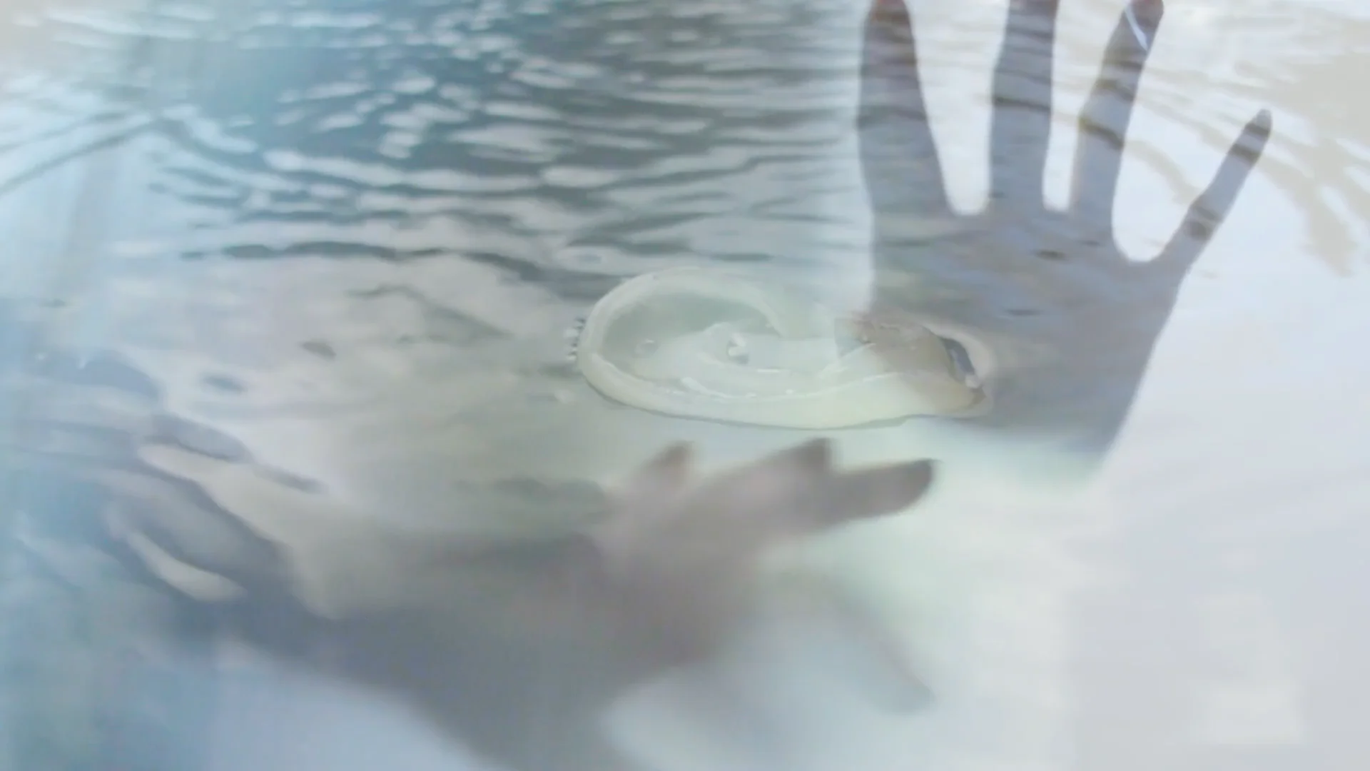 Jax Deluca : YSGA (Music Video) - ORGANS IN THE WIND (ACR032)