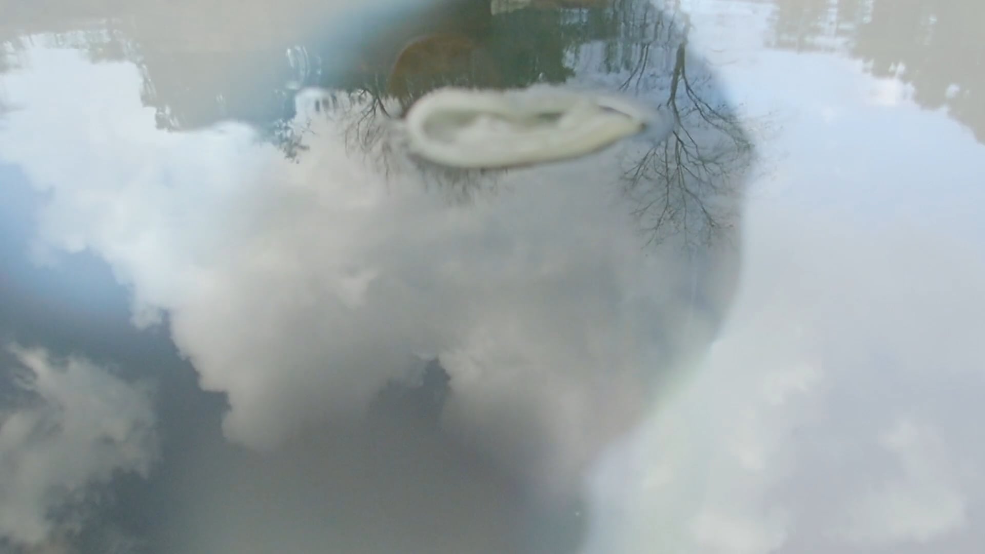 Jax Deluca : YSGA (Music Video) - ORGANS IN THE WIND (ACR032)
