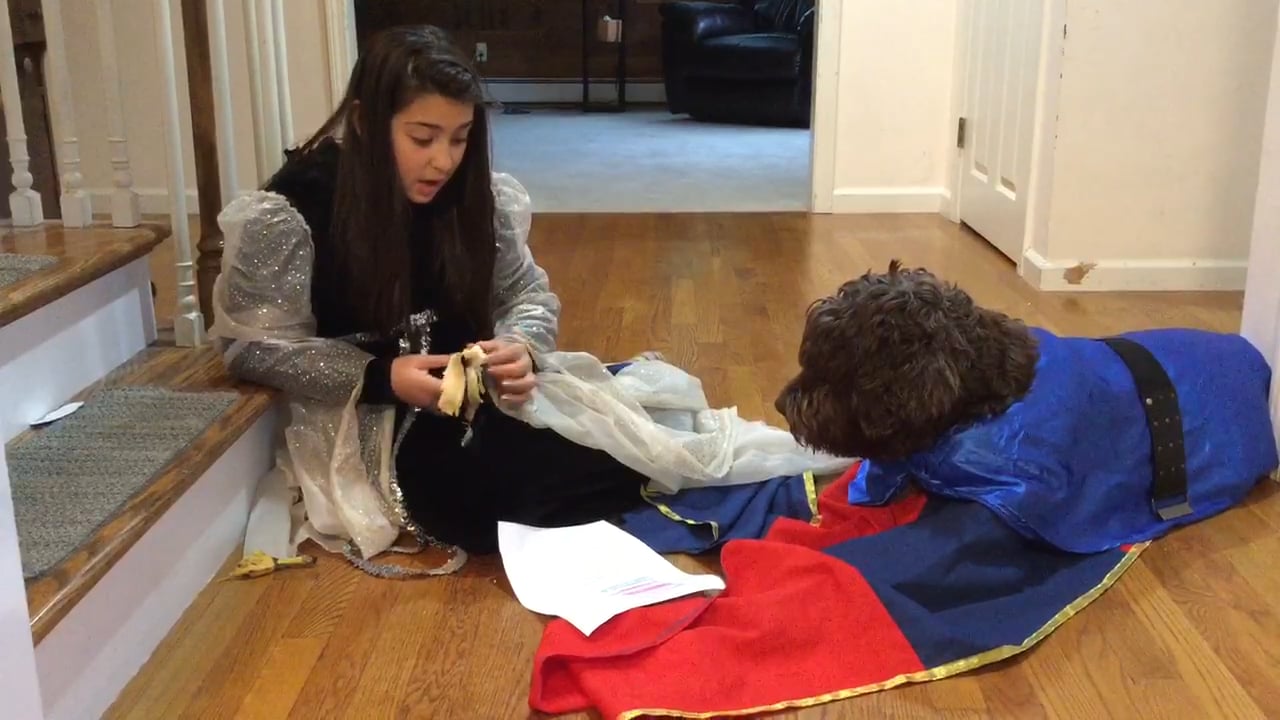 Sarah Romeo & Juliet on Vimeo