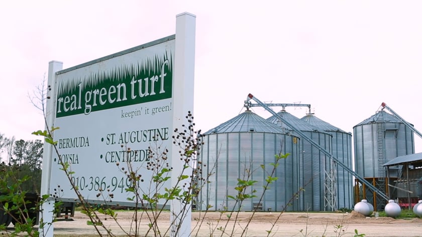 About Real Green Turf - Ash, NC Sod For Sale