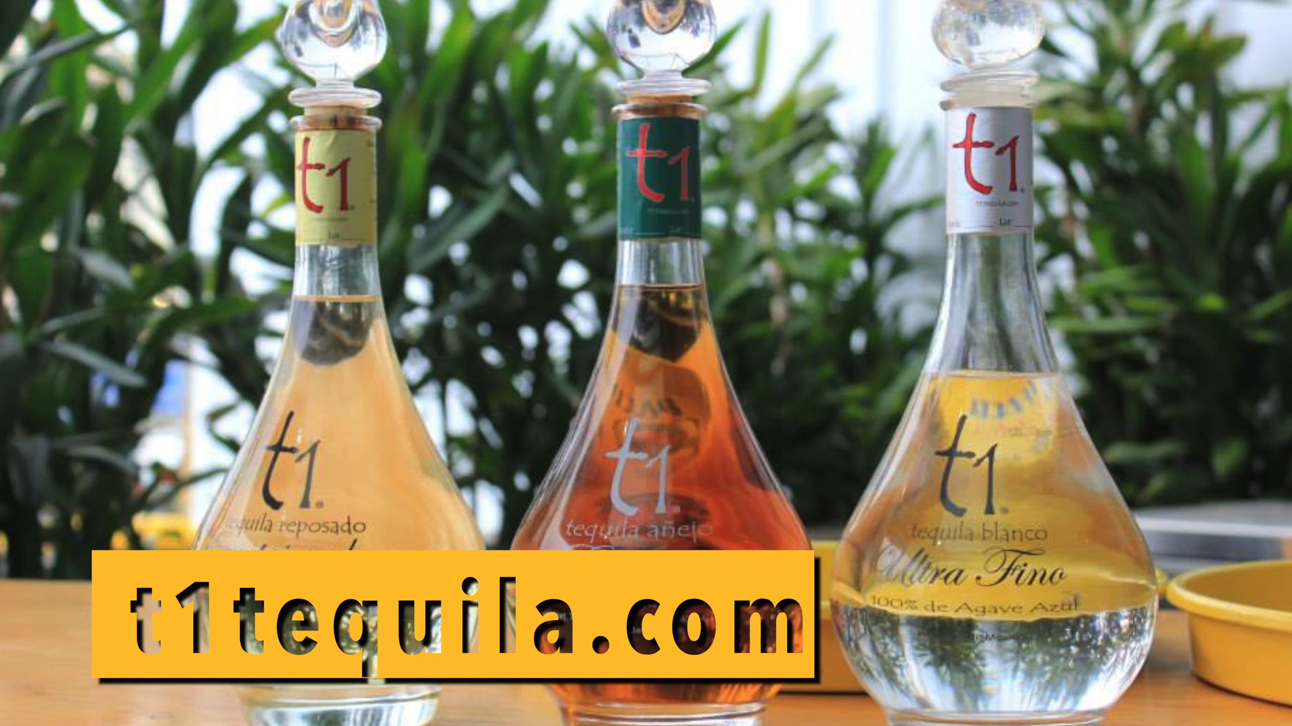 T1 Tequila on Vimeo