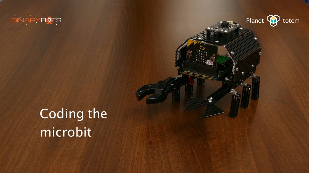 BinaryBots Planet Totem Crab Coding the Microbit on Vimeo