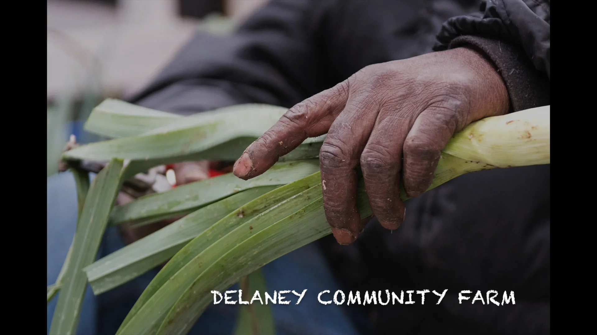 DeLaney Farm Bounty on Vimeo