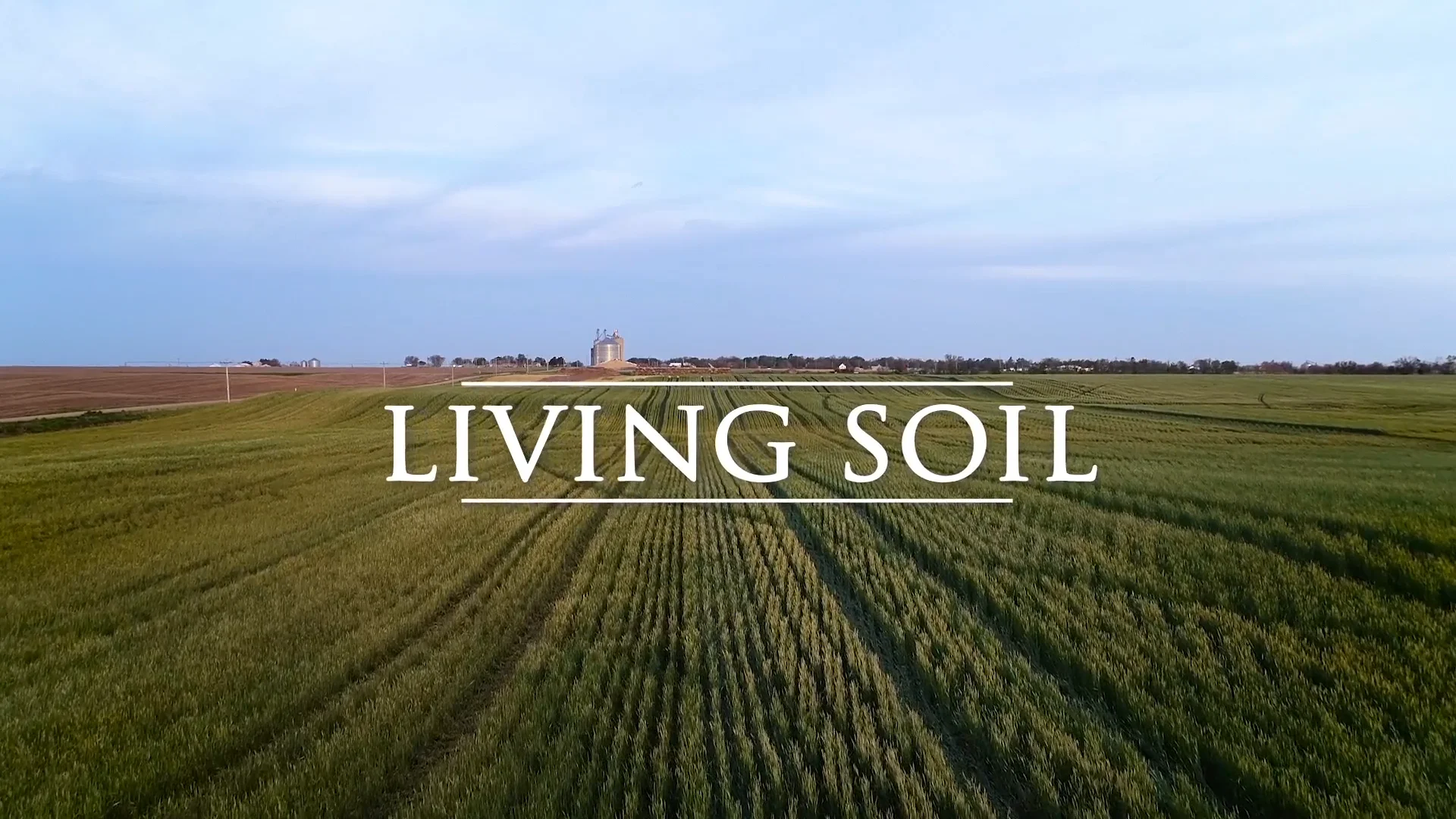 Living Soil Film