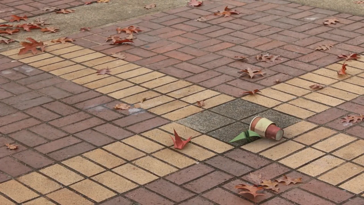 Jonathan Wai Composting Demo reel 2018 on Vimeo