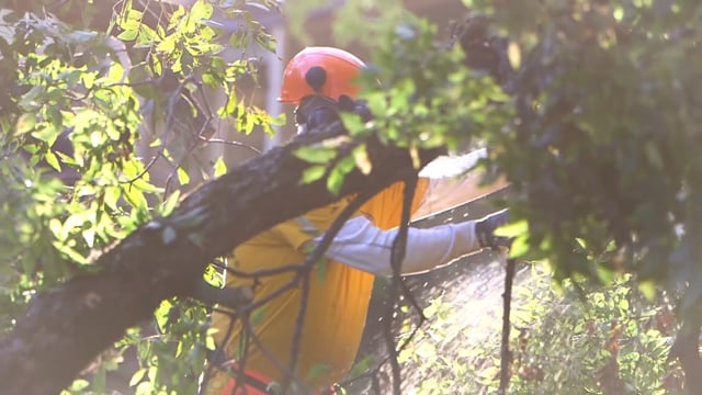 SBC of Virginia Disaster Relief 2018 on Vimeo