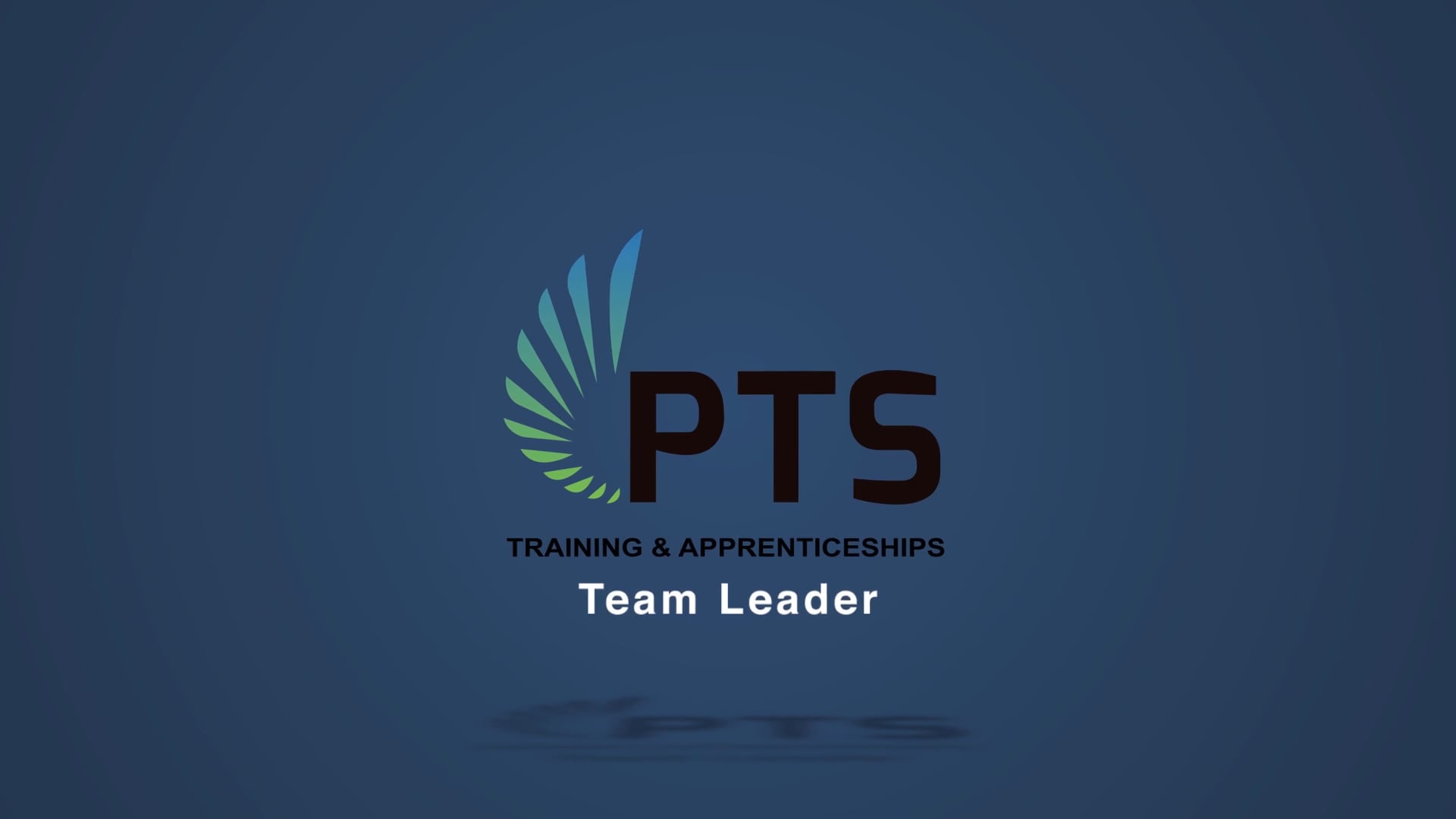 PTS - Team leader on Vimeo
