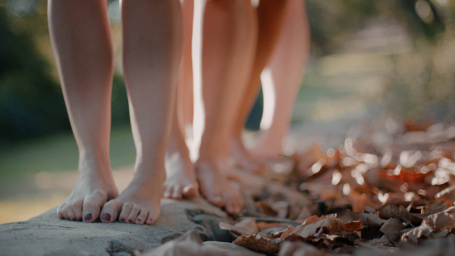 FIGS CAMPAIGN on Vimeo