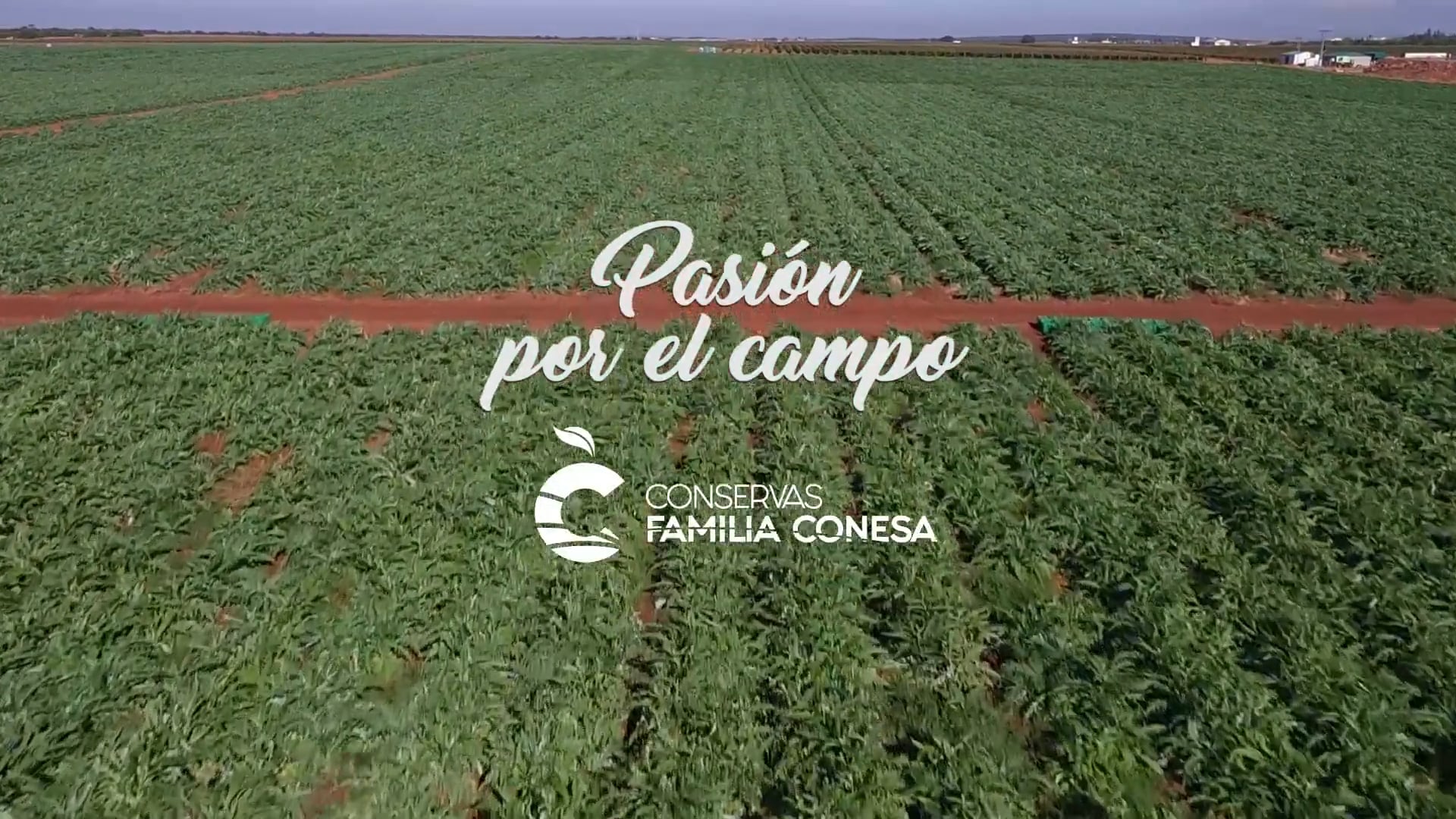 Video SANFUL on Vimeo