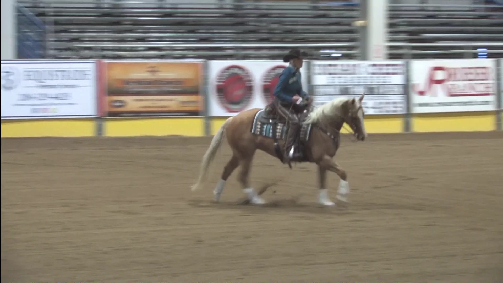 The Genuine Look & Meryl Reber ~ 2018-11-04 ~ IRCHA ~ NP Bridle