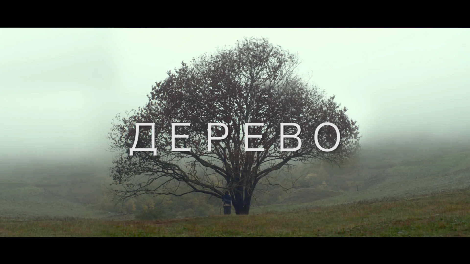 Trailer "Derevo" on Vimeo