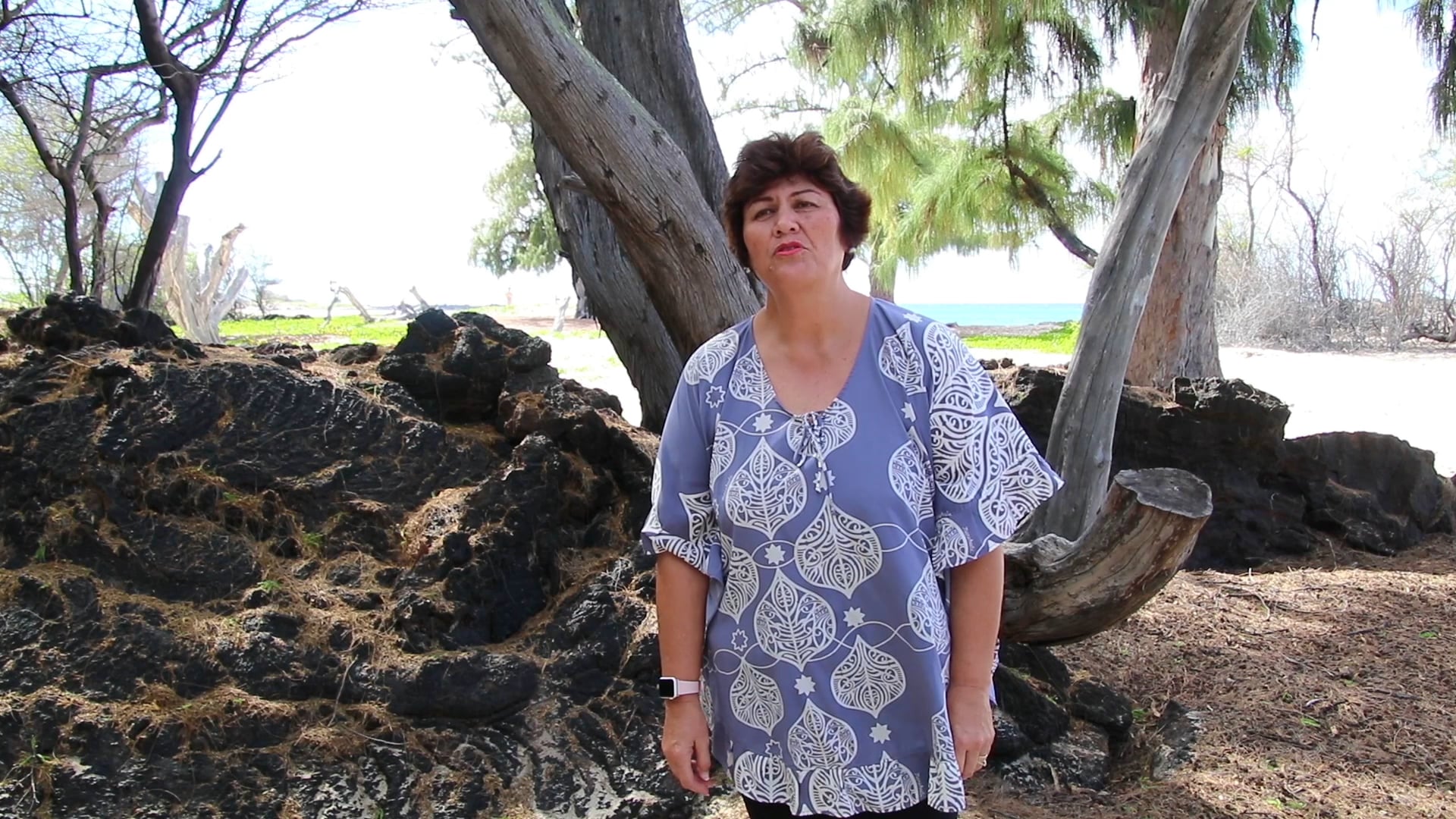 HI VID59 Olelo No eau Translation on Vimeo