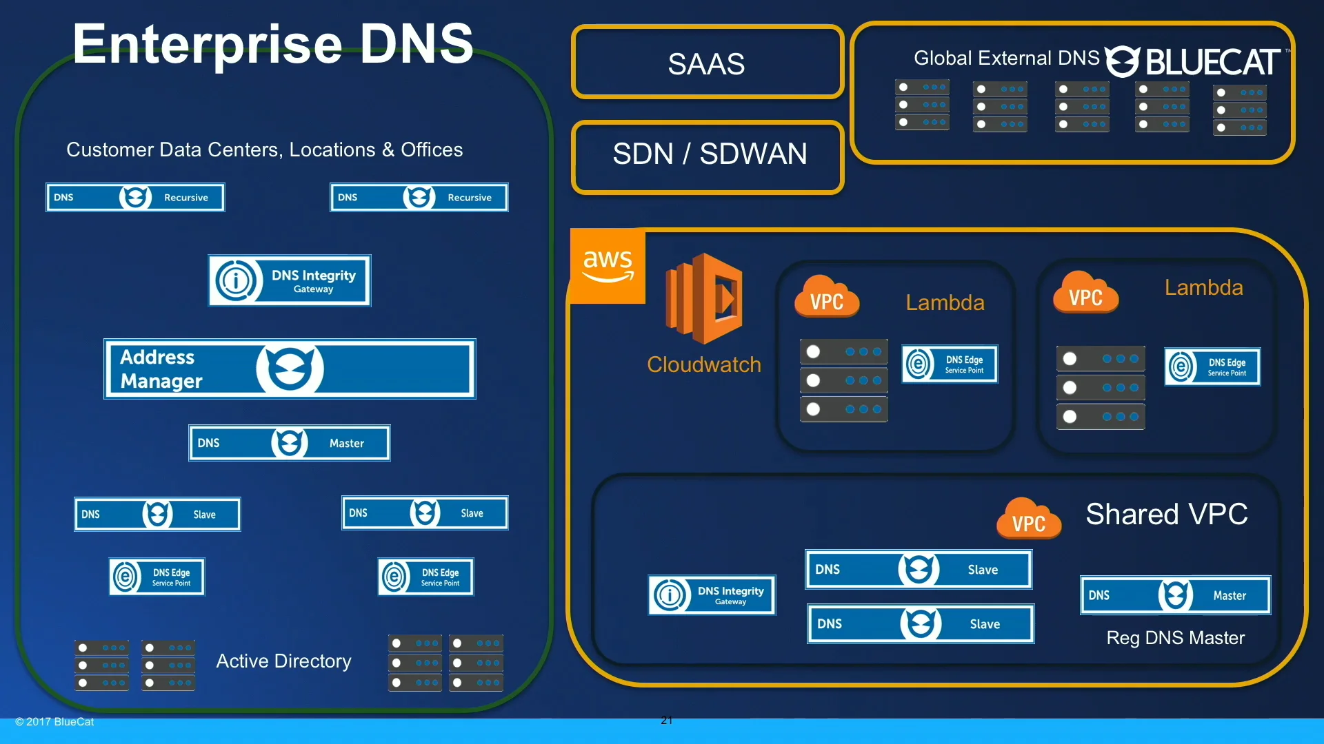 BlueCat Mapping the Enterprise DNS Ecosystem