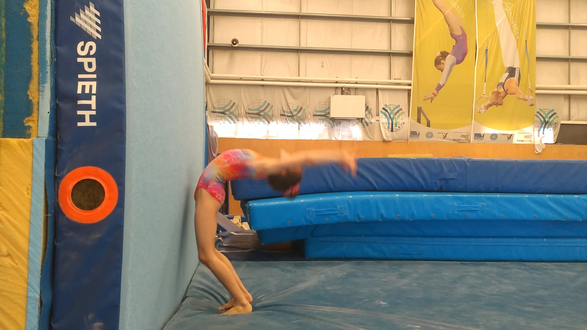 WAG Skill Development Resource - Limber - Refinement on Vimeo