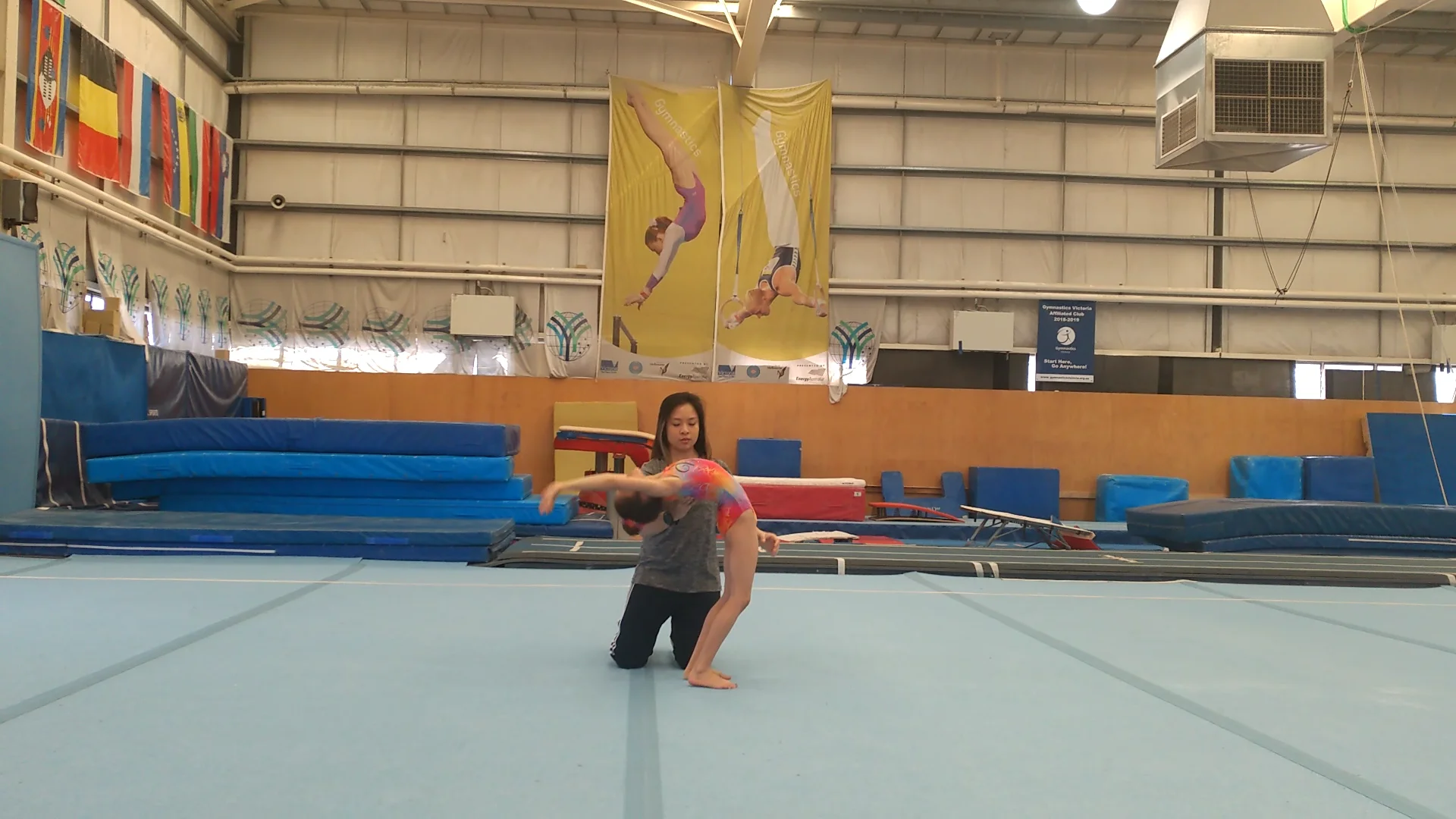 WAG Skill Development Resource - Limber - Spotted Back Limber on Vimeo