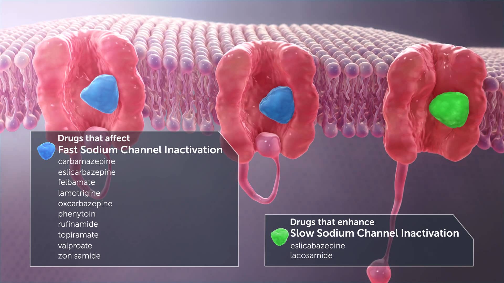 Anti-Epileptic Drug Mechanism of Action Video by UCB Pharma. Sodium ...