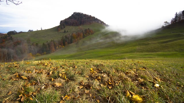 Fog Flow Move - Free video on Pixabay