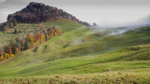 100+ Free Haze & Fog Videos, HD & 4K Clips - Pixabay