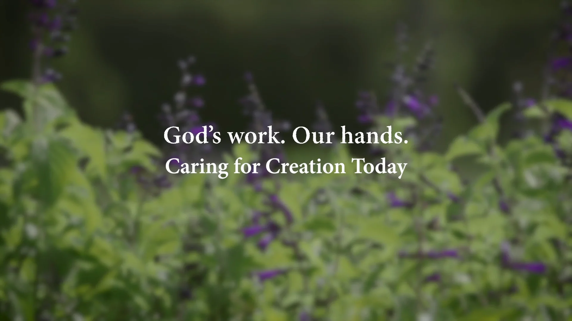 God's work. Our hands.