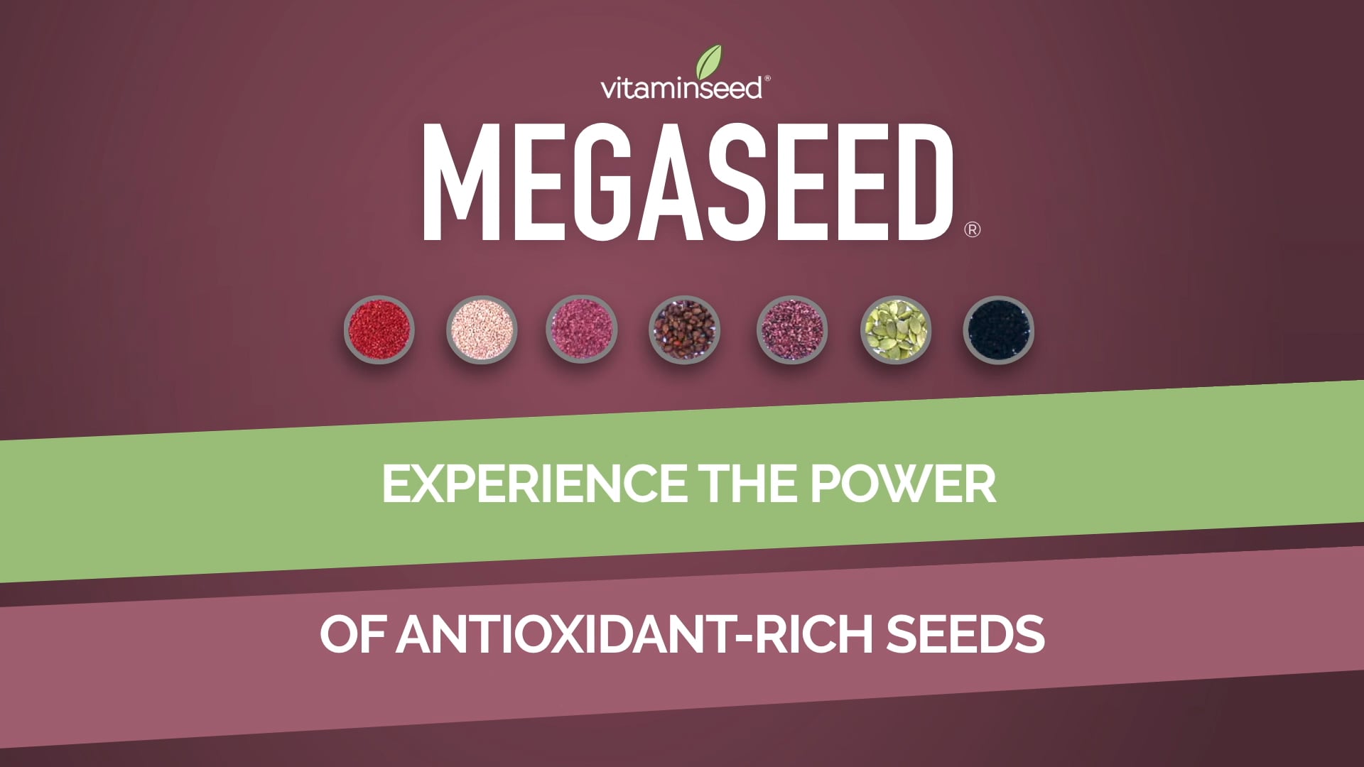 MegaSeed Quick Clip on Vimeo