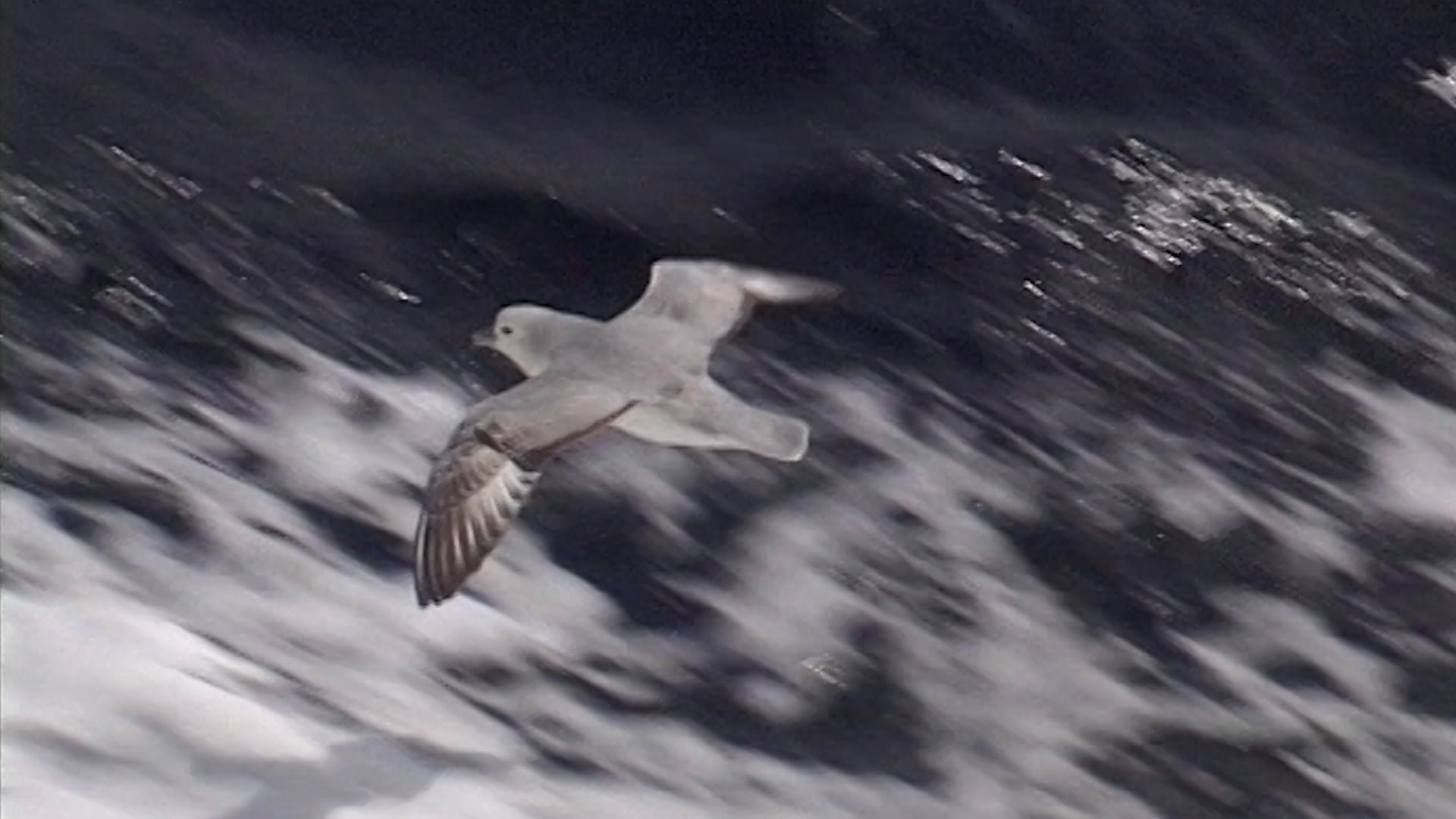 Fulmar - The Flying Dustbin - UPDATE on Vimeo