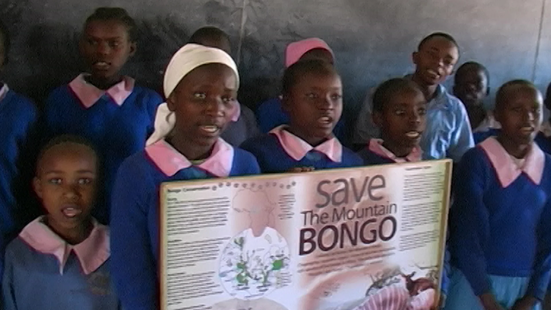 How to Save the Bongo PROMO on Vimeo