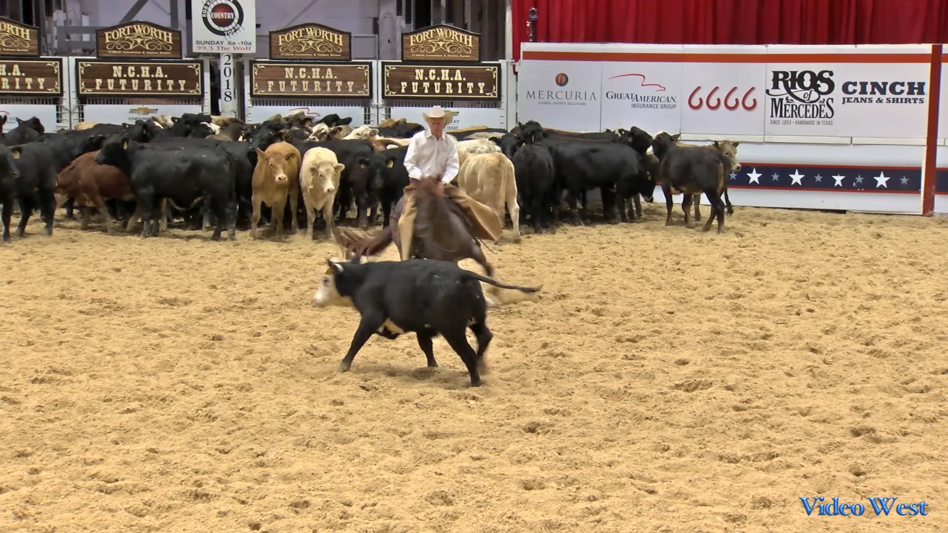 MPH Spectacular Cat - 2018 NCHA Futurity - Open 1st Go on Vimeo