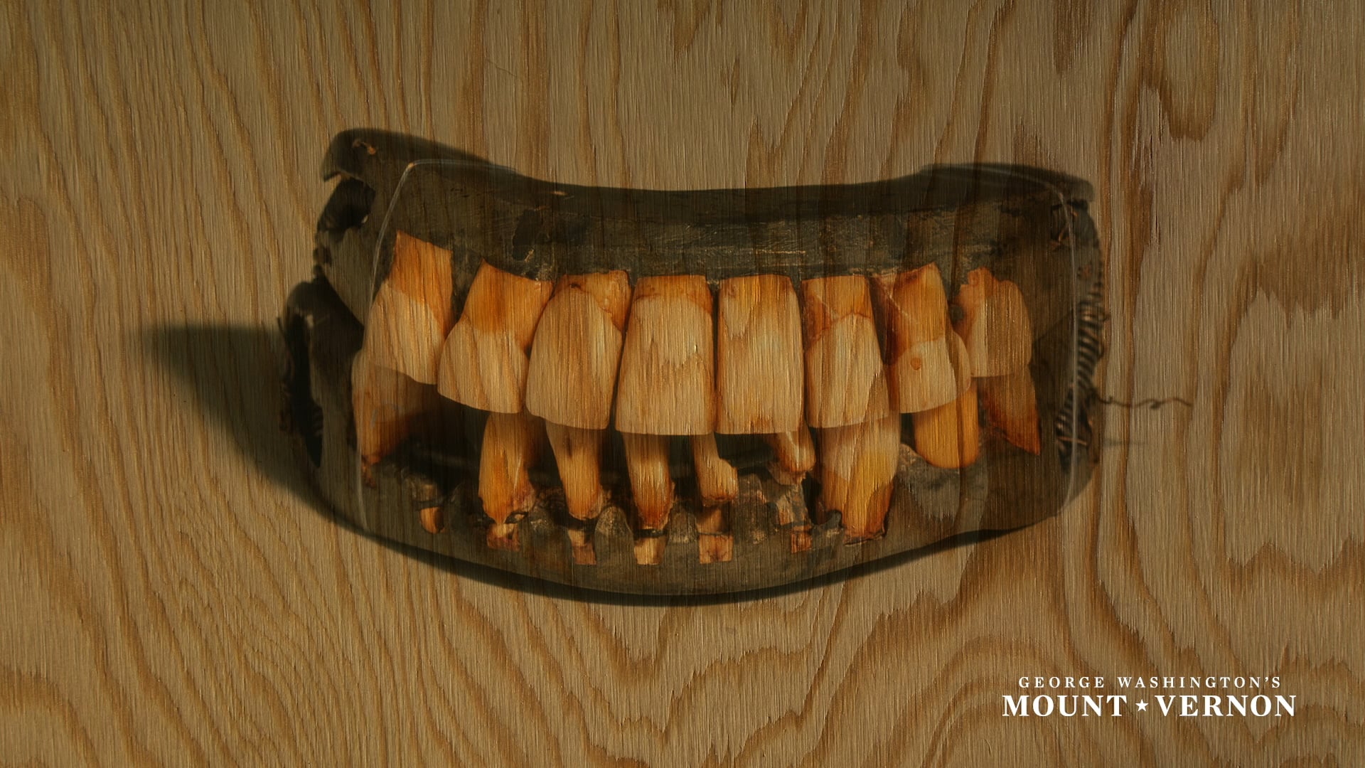 Did George Washington Have Wooden Teeth? on Vimeo