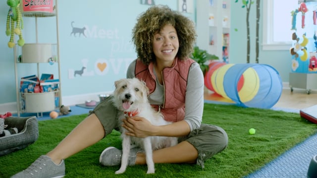 PETS/ANIMALS on Vimeo