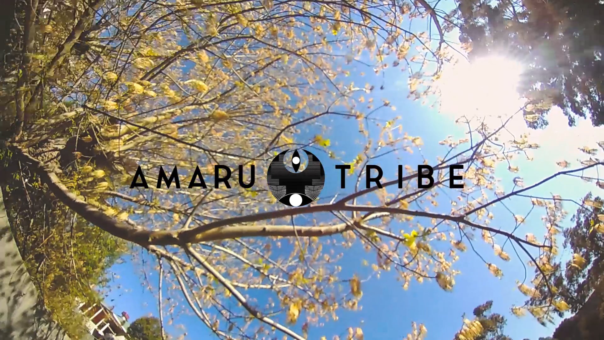 Amaru Tribe - Lost Lands Festival 2018 on Vimeo