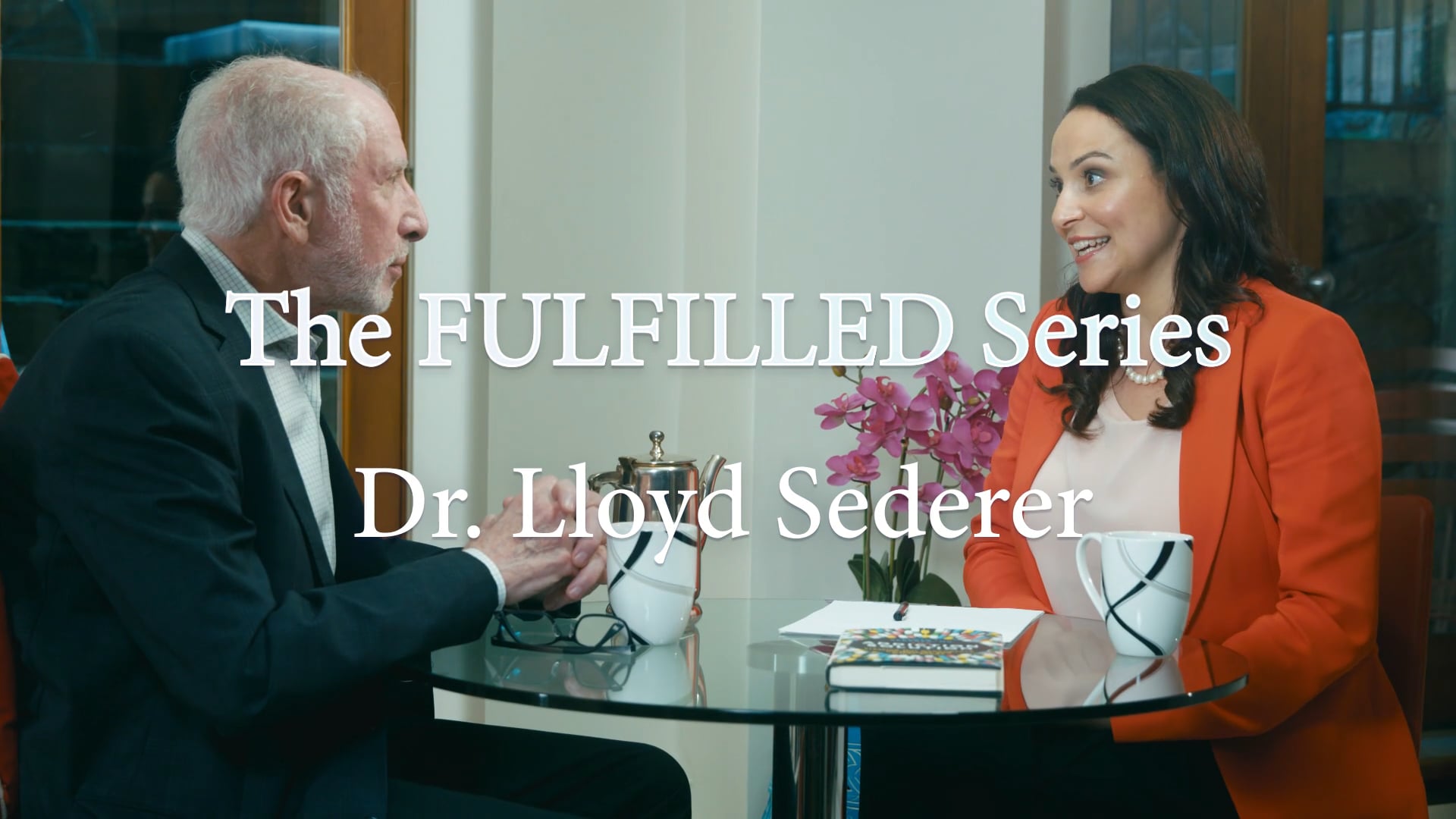 Lloyd_Sederer_Teaser on Vimeo