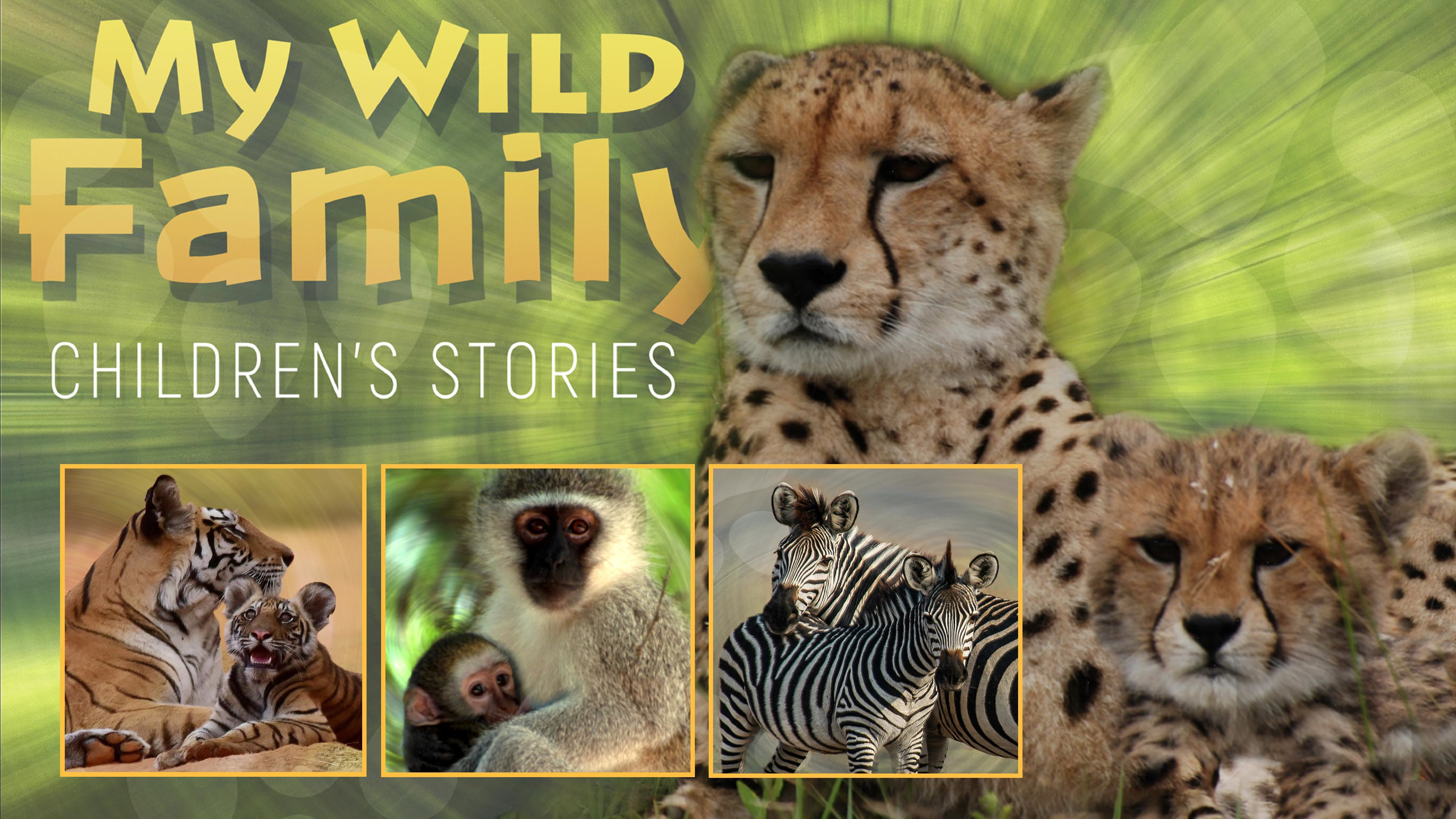 Watch My Wild Family - Series 1 Online | Vimeo On Demand on Vimeo