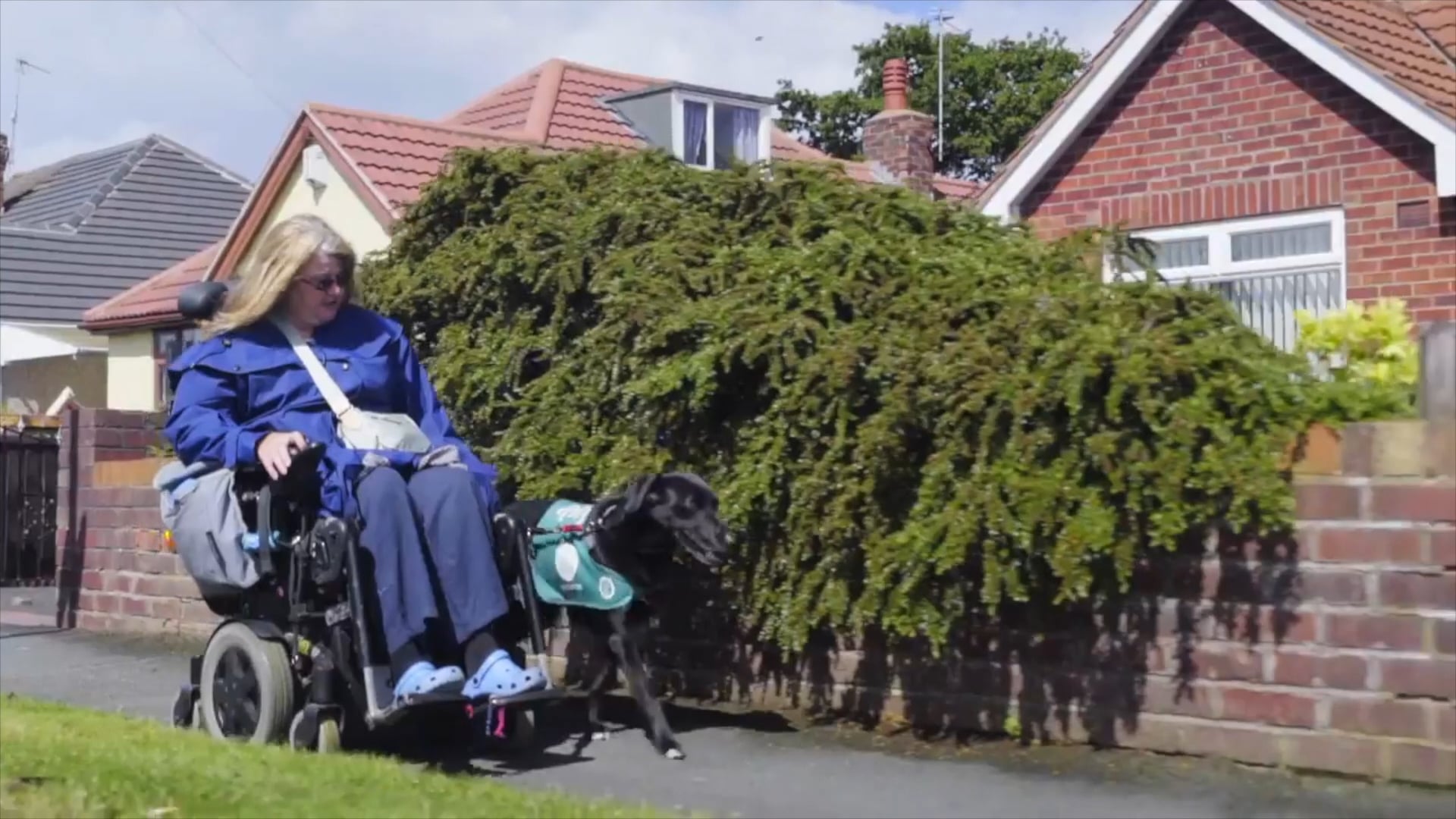 Ceva supports Power of Dogs on Vimeo