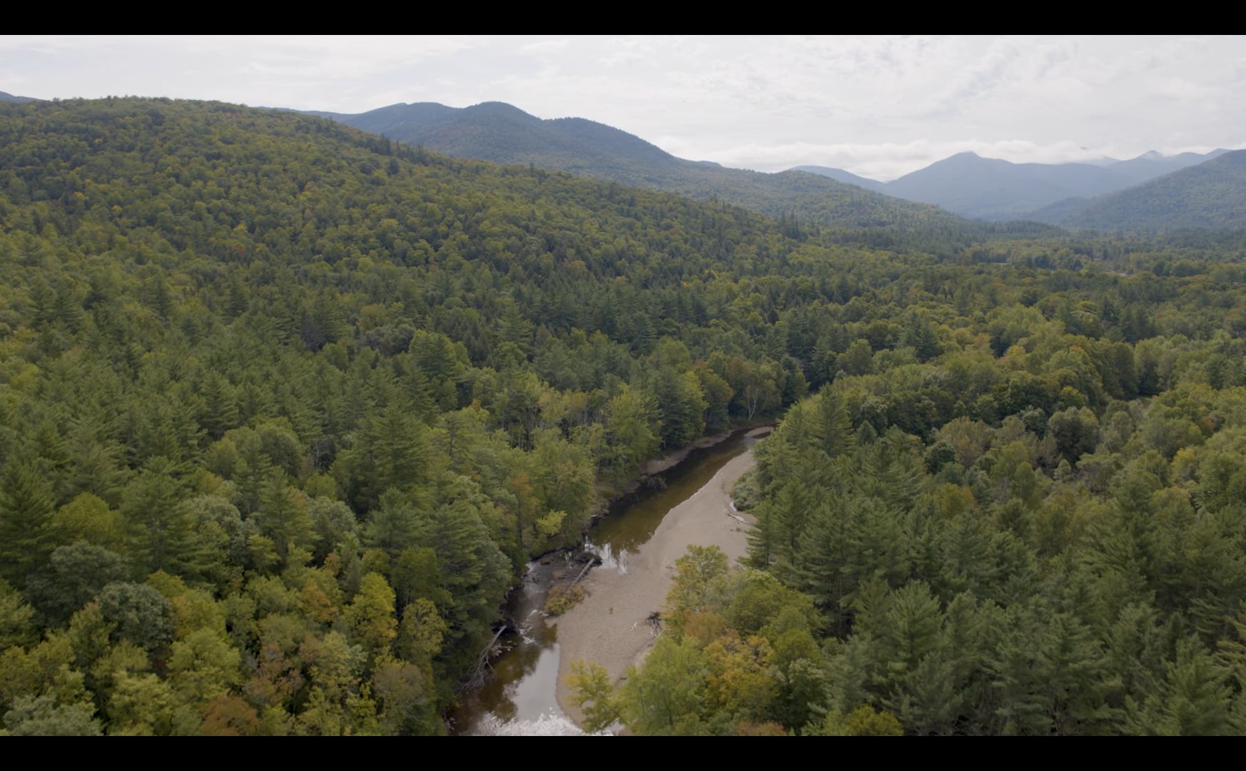 Environmental Advocates of New York State on Vimeo