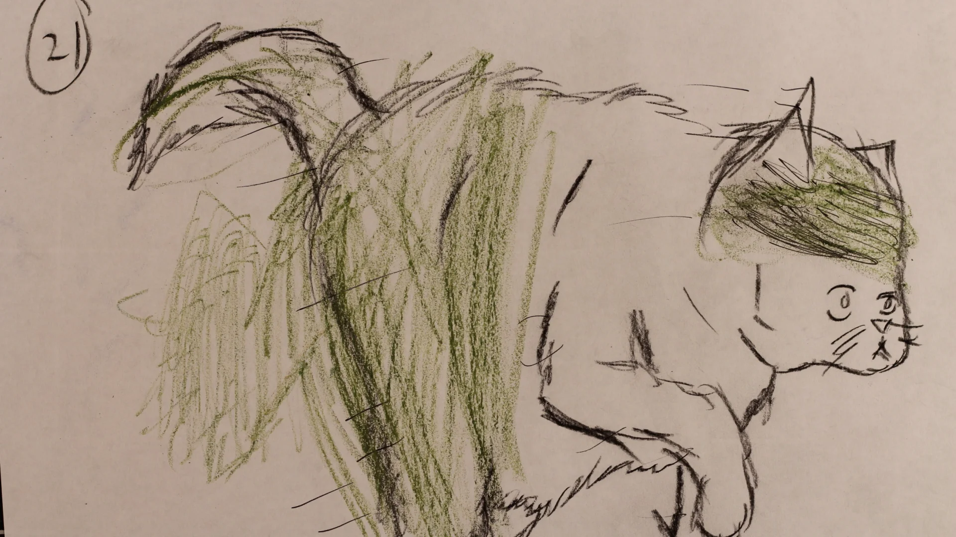 Cat rotoscoping animation on Vimeo