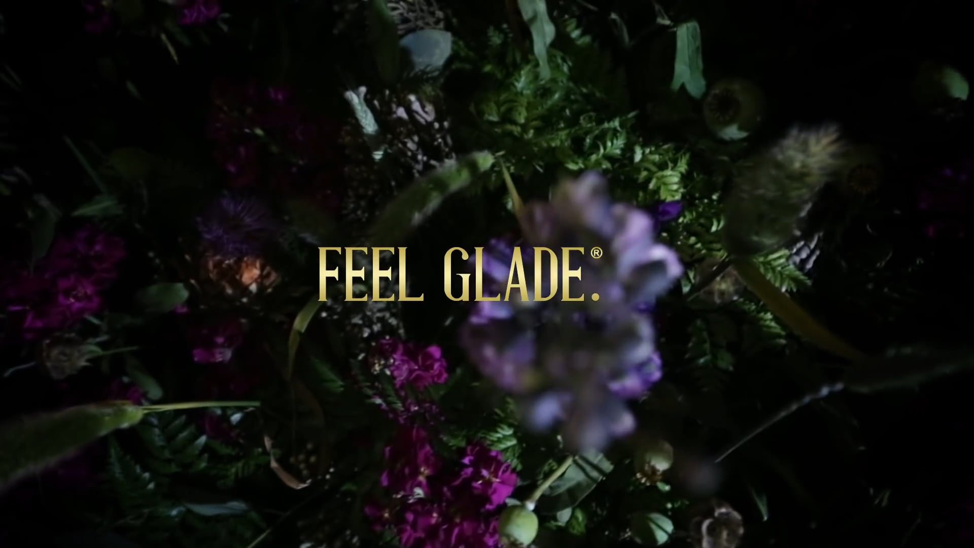 Feel Tempted Glade® Wondrous Autumn Nights on Vimeo