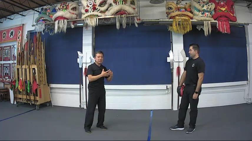 Watch Grand Master Calvin Chin the Variety of punches in Hung Kuen ...