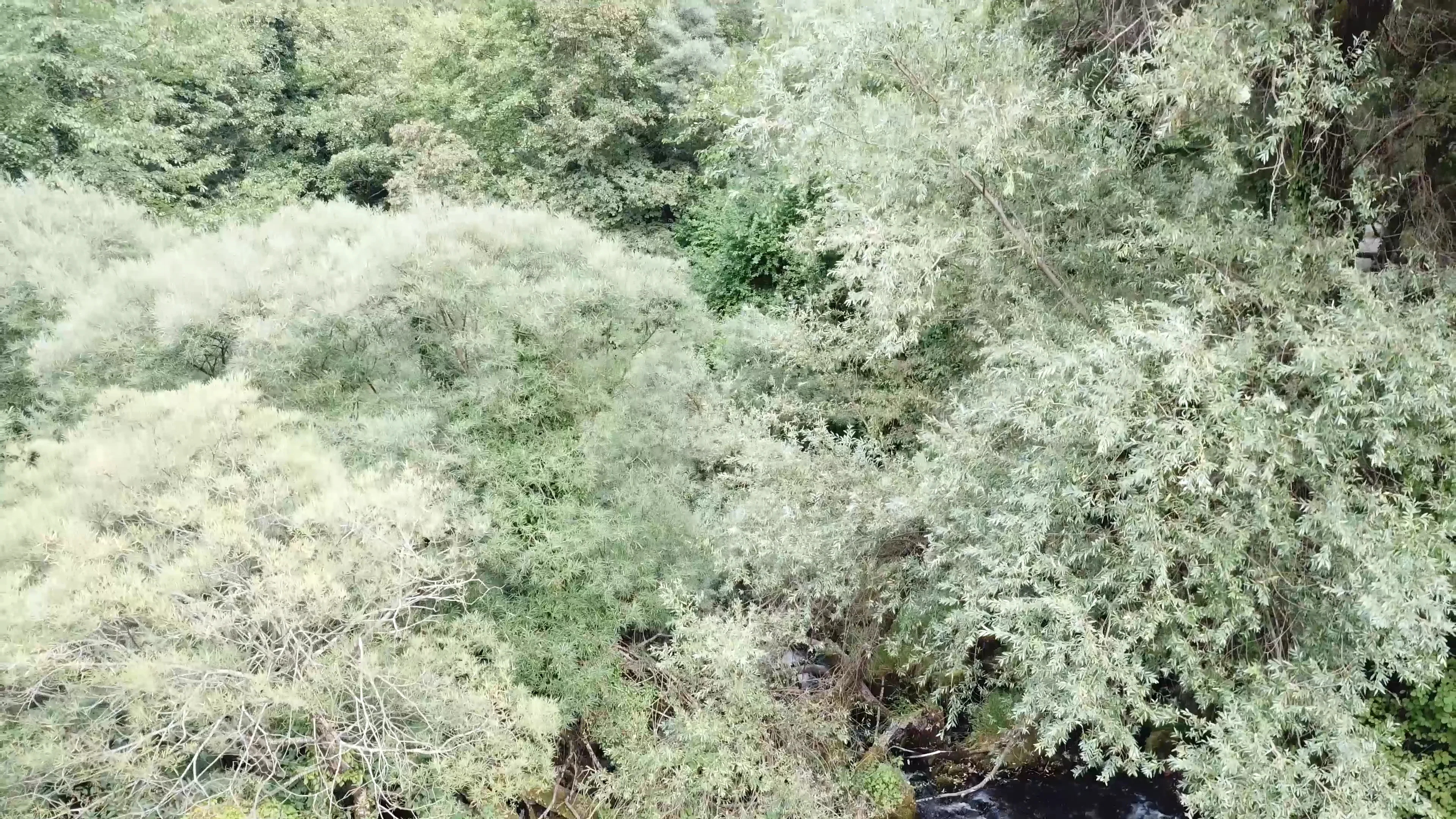 Vevcani Springs on Vimeo
