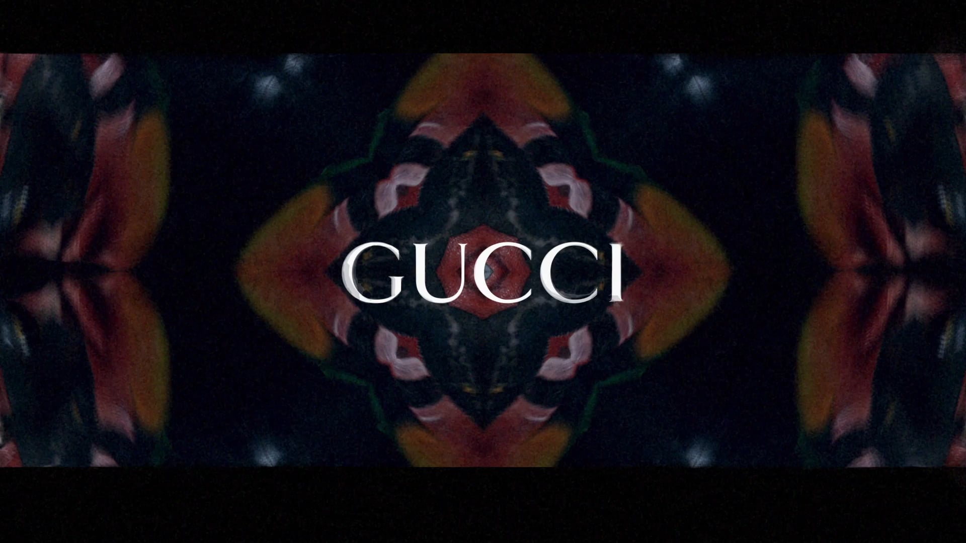 Gucci animation on Vimeo