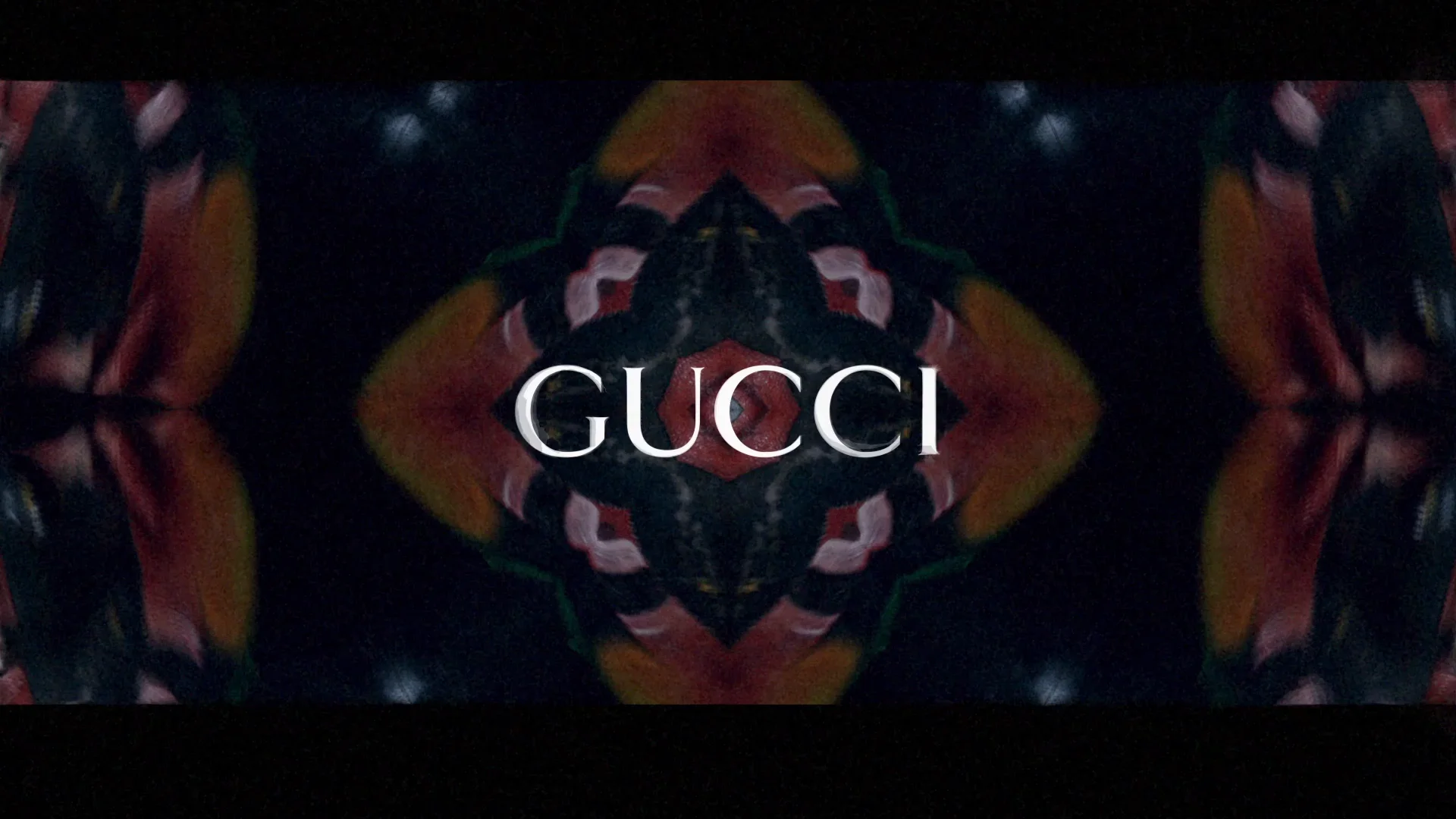 Gucci animation
