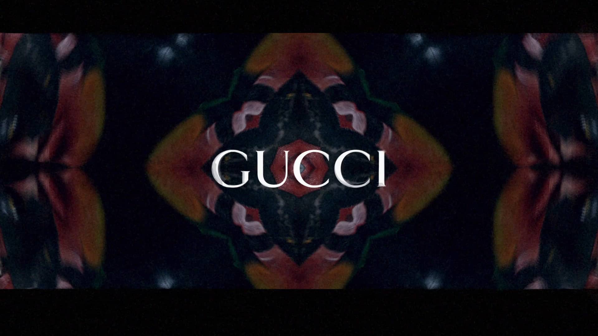 Gucci animation on Vimeo