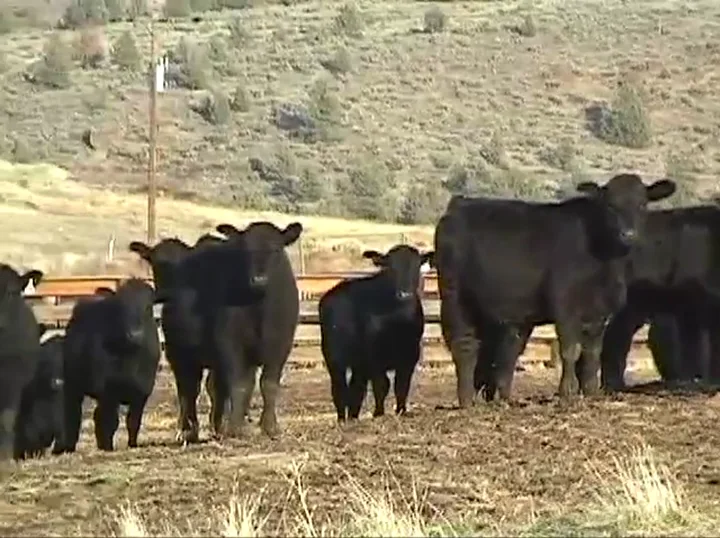 Dr Robert B. Pamplin, Jr. - R2 Ranch, The best of the best. on Vimeo