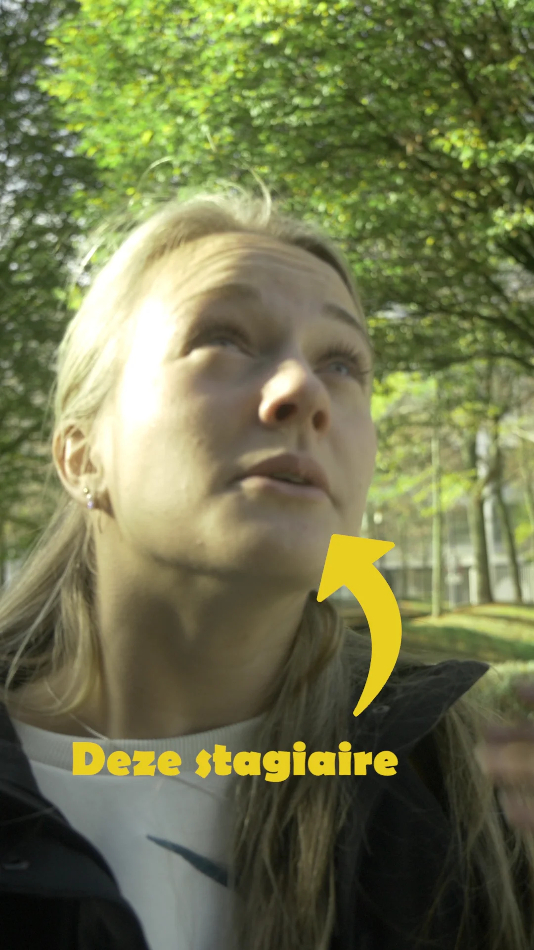 Beevy Promo 1 on Vimeo